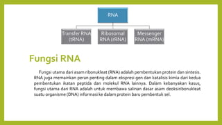 RNA & KEANEKARAGAMAN MAKHLUK HIDUP ilmu alamiah dasar | PPTX