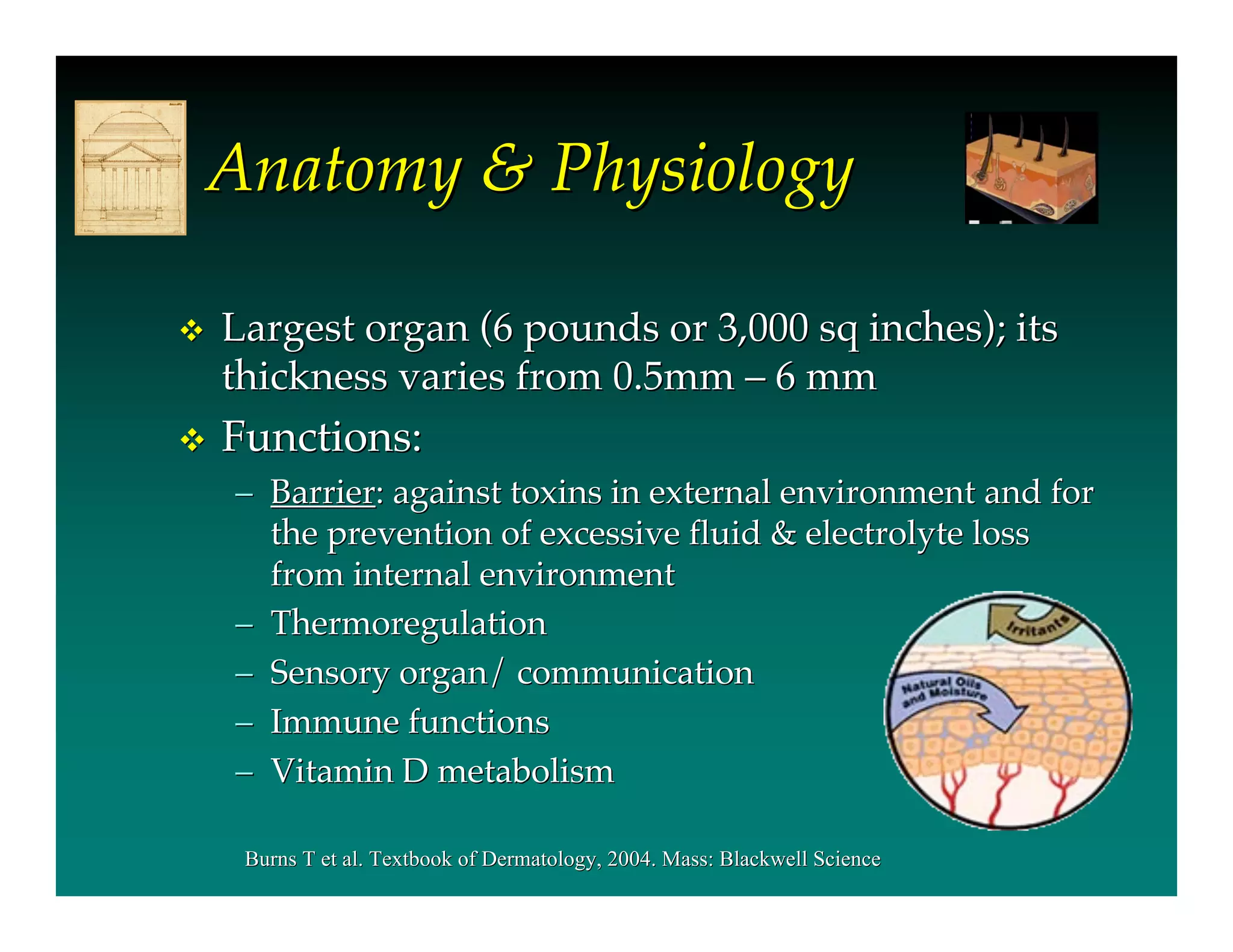 Incontinence Associated Dermatitis by Prof Dr Mikel Gray | PDF