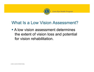 LEHP - Low Vision | PDF