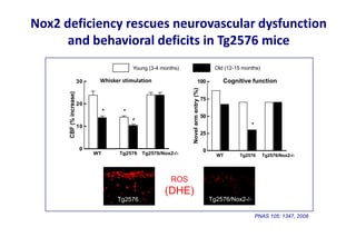Neurovascular Regulation in Health and Disease | PPTX