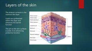Incontinence Associated Dermatitis Ceu