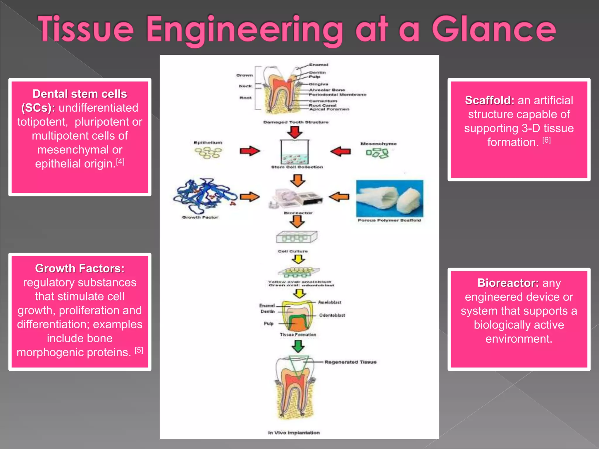 "Tissue Engineering": Competition Experience Report | PPT