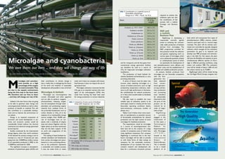Microalgae and cyanobacteria | PDF