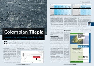 Colombian Tilapia - Increased fry survivability with Orego-Stim® | PPT