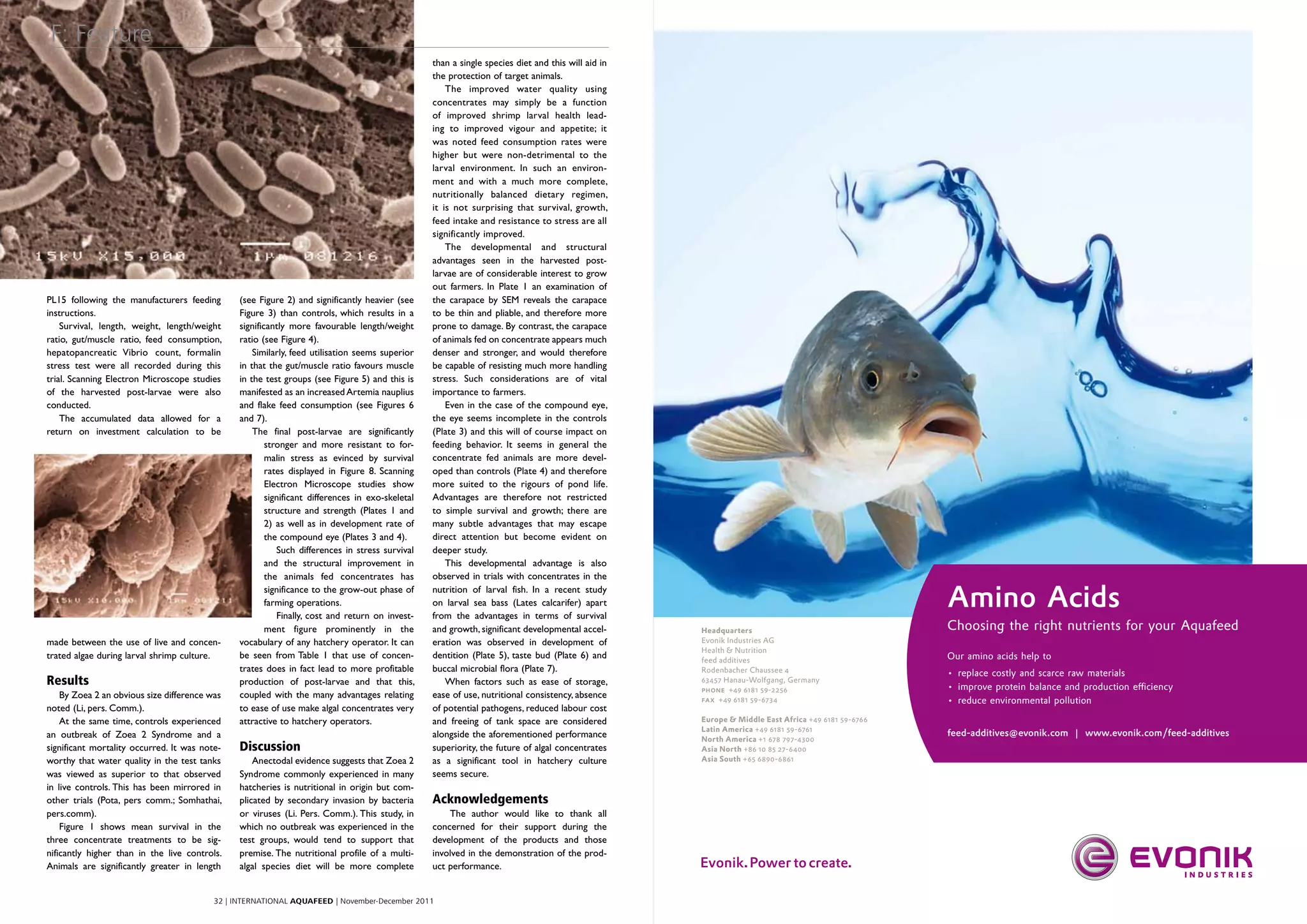 Algal concentrates in hatchery culture | PDF