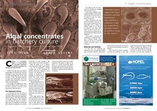 Algal concentrates in hatchery culture | PDF