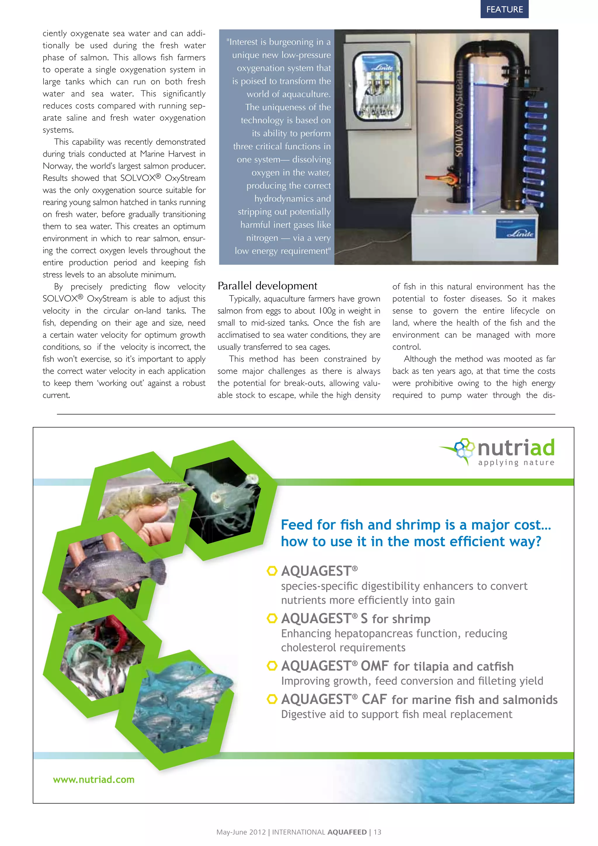 Oxygenation technology poised to transform aquaculture worldwide | PDF