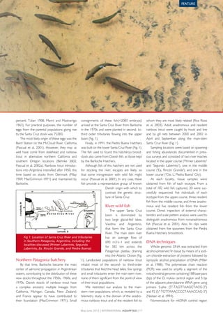 The origin of introduced rainbow trout (Oncorhynchus mykiss) - in the ...