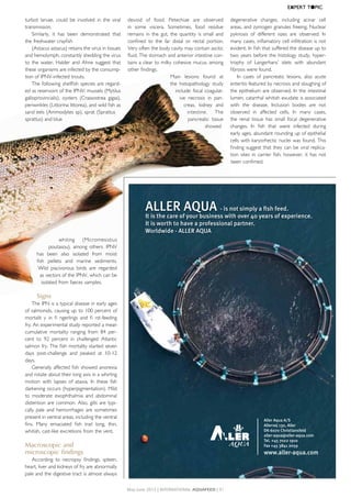 EXPERT TOPIC - TROUT | PDF