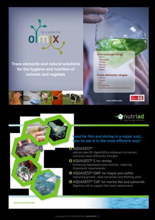 EXPERT TOPIC - Tilapia | PDF