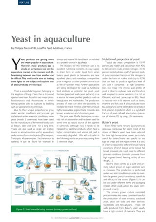 Yeast in aquaculture | PDF