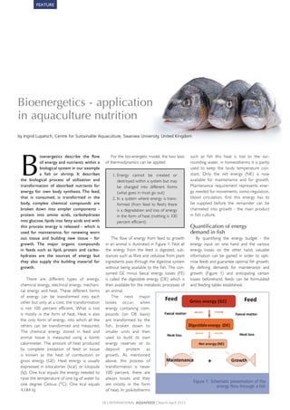 Bioenergetics - application in aquaculture nutrition | PDF