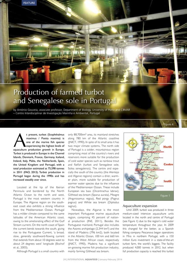 Production of farmed turbot and Senegalese sole in Portugal | PDF ...