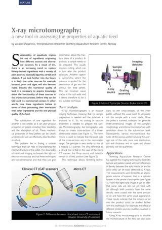 X-ray microtomography: a new tool in assessing the properties of ...
