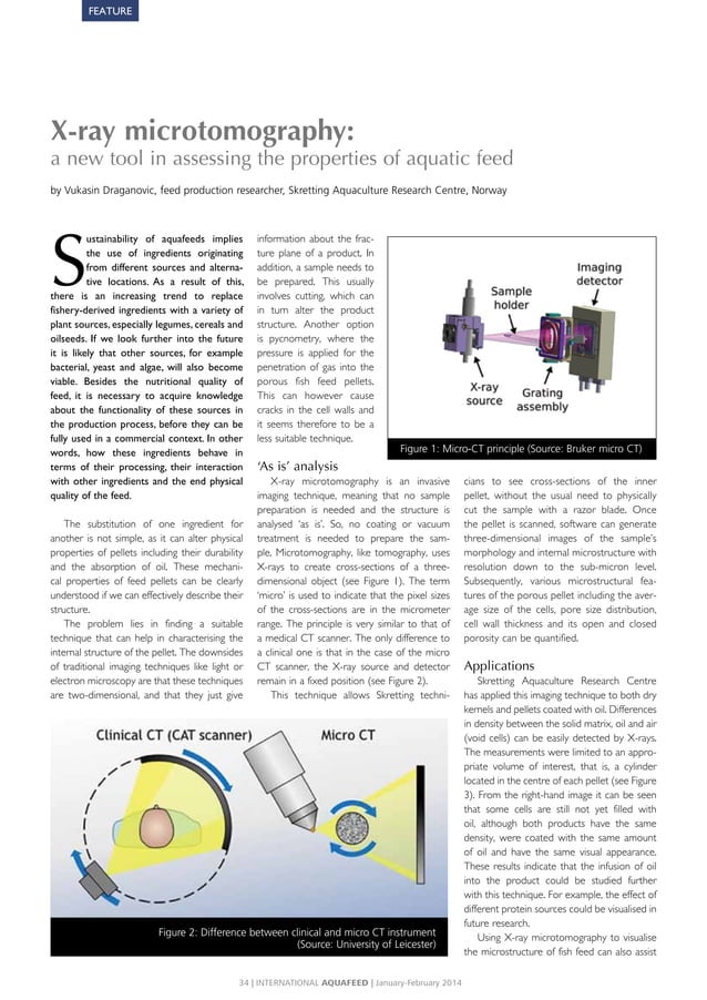 X-ray microtomography: a new tool in assessing the properties of ...