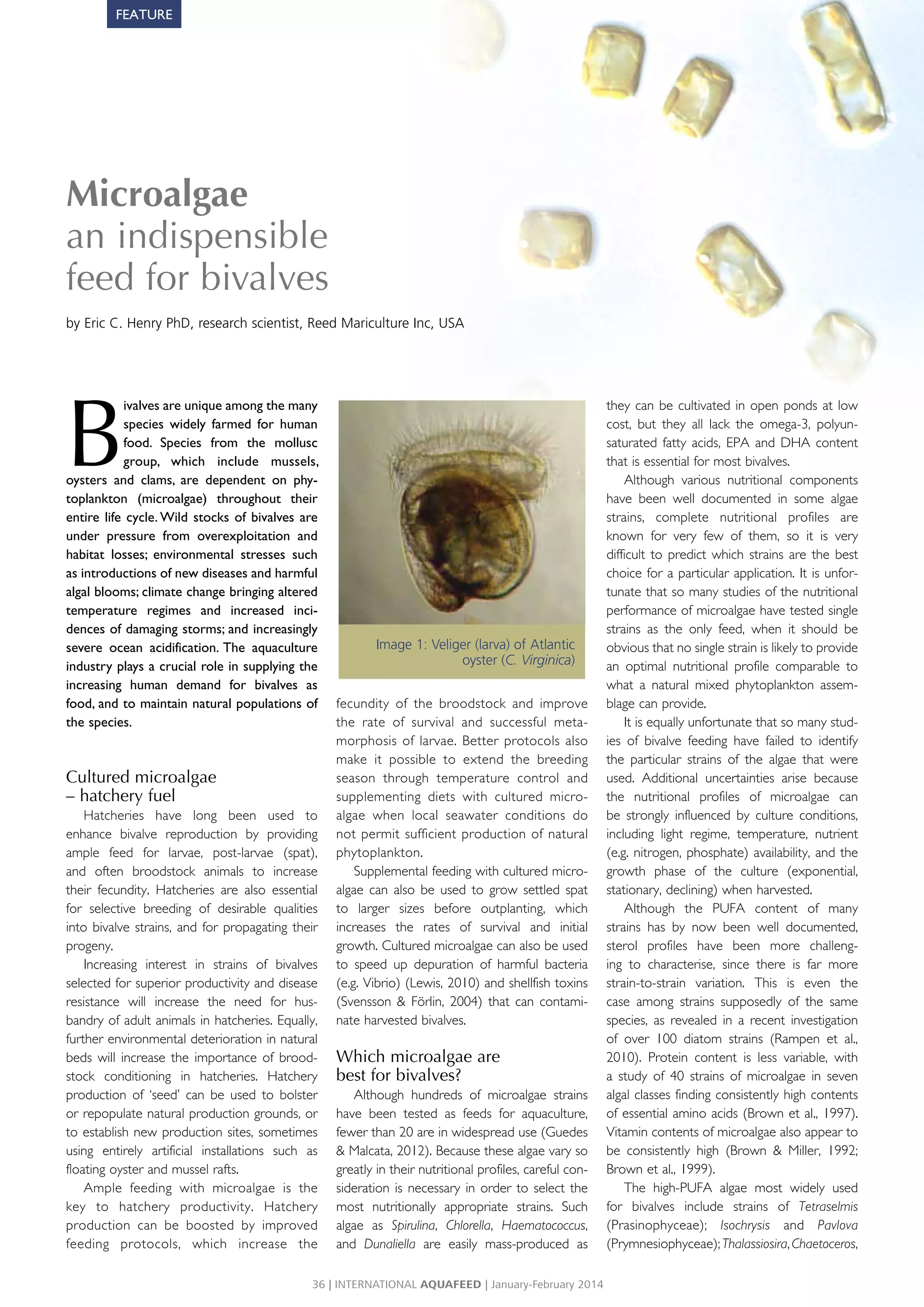 Microalgae: an indispensible feed for bivalves | PDF