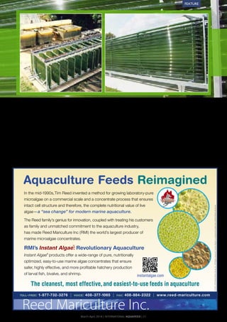 Microalgae and aquaculture - feed and cycle management | PDF