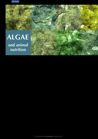Algae and animal nutrition | PDF | Zoos & Aquariums | Attractions
