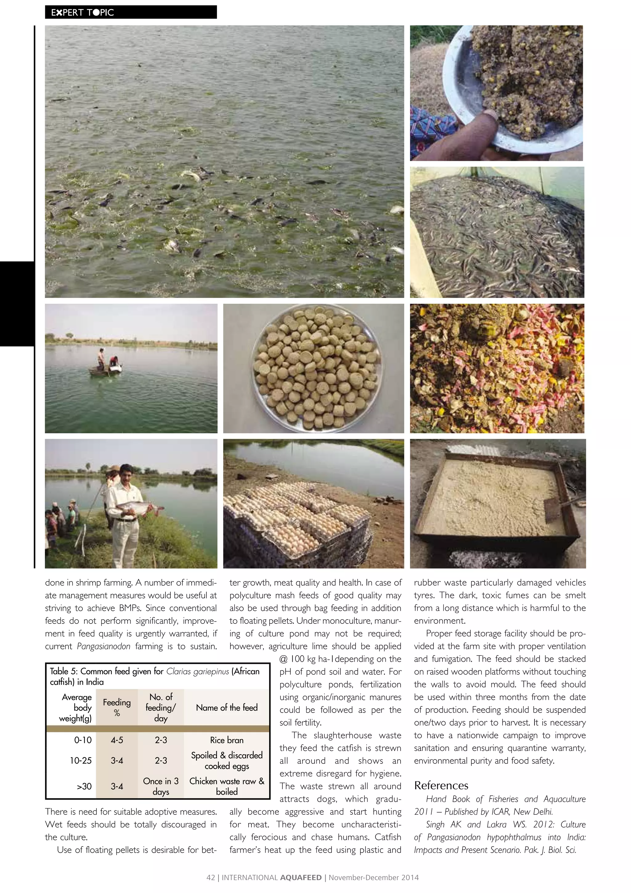 EXPERT TOPIC: Feed and feeding practices for Catfish in India | PDF