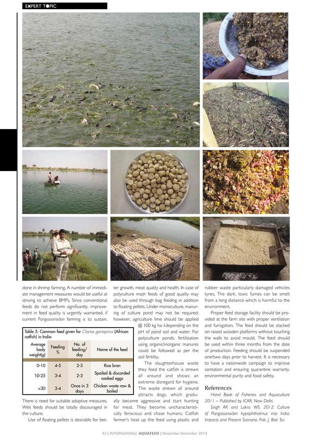 EXPERT TOPIC: Feed and feeding practices for Catfish in India | PDF