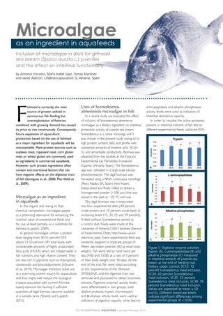 Microalgae as an ingredient in aquafeeds | PDF