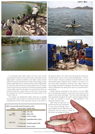 EXPERT TOPIC 1502: Carp | PDF