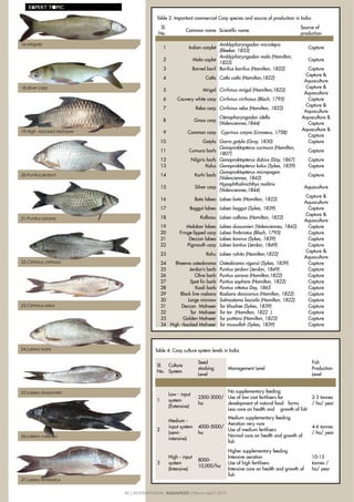 EXPERT TOPIC 1502: Carp | PDF