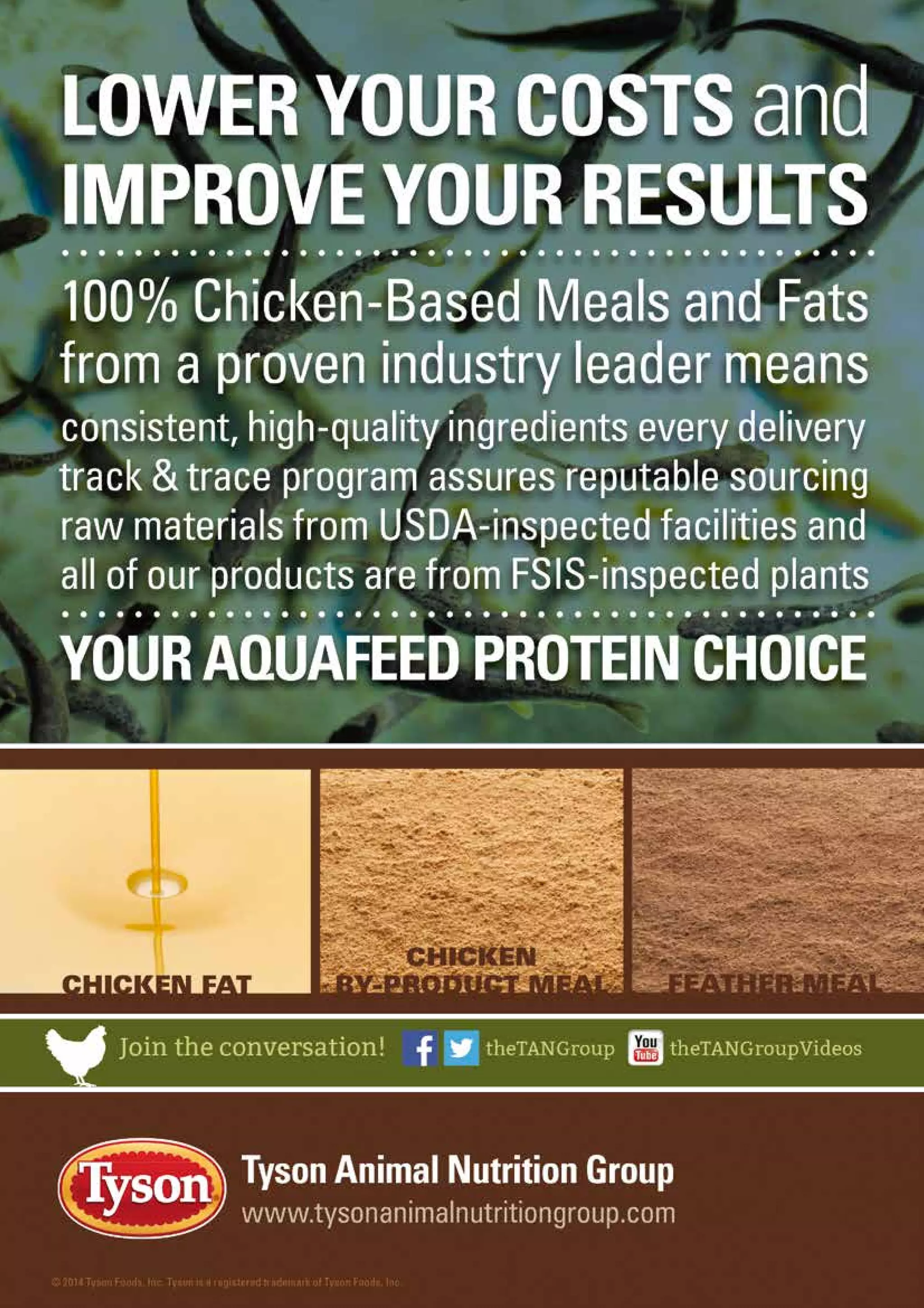 Duckweed: A sustainable protein supplement for the future | PDF