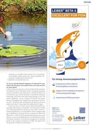 Duckweed: A sustainable protein supplement for the future | PDF