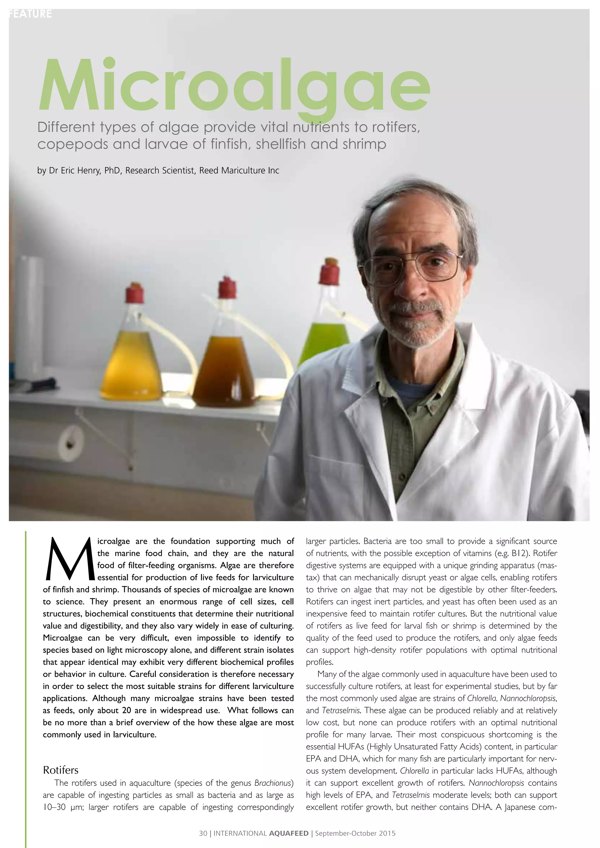 Microalgae: Different types of algae provide vital nutrients to ...