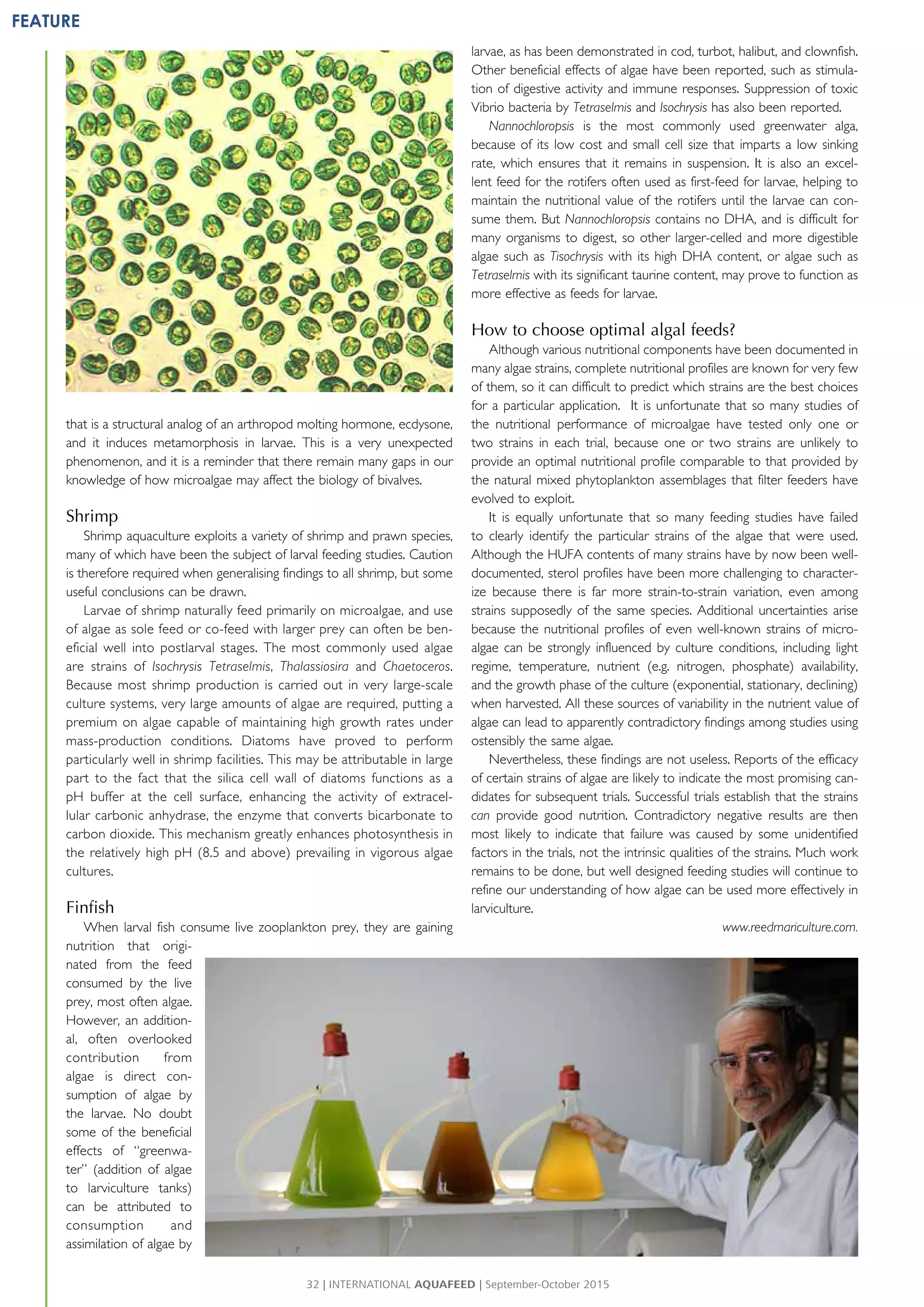 Microalgae: Different types of algae provide vital nutrients to ...