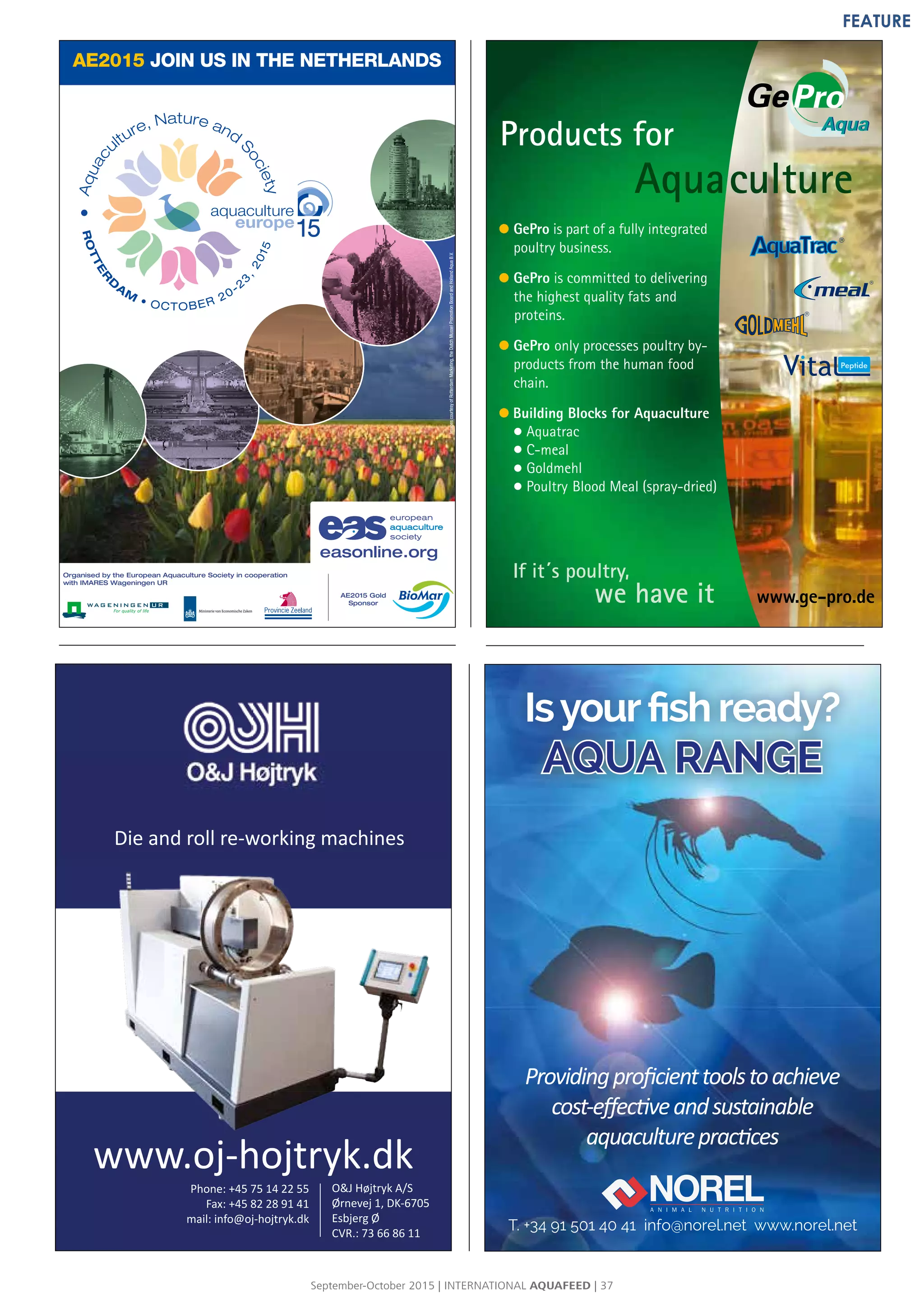 Microalgae: Different types of algae provide vital nutrients to ...