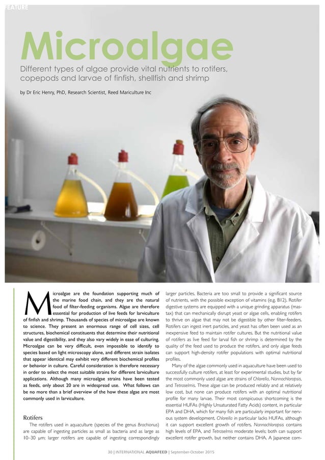 Microalgae: Different types of algae provide vital nutrients to ...