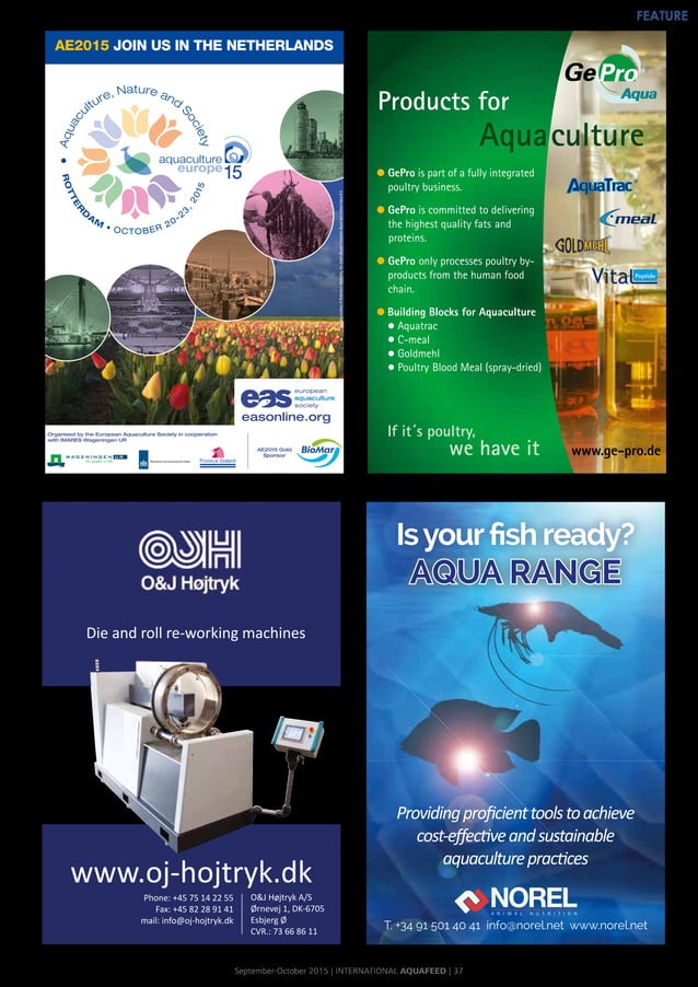 Microalgae: Different types of algae provide vital nutrients to rotifers, copepods and larvae of ...