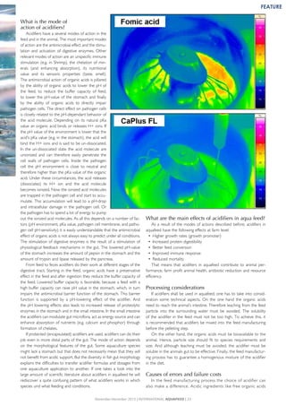Acidifier concepts in aquafeed – high quality feed additives | PDF