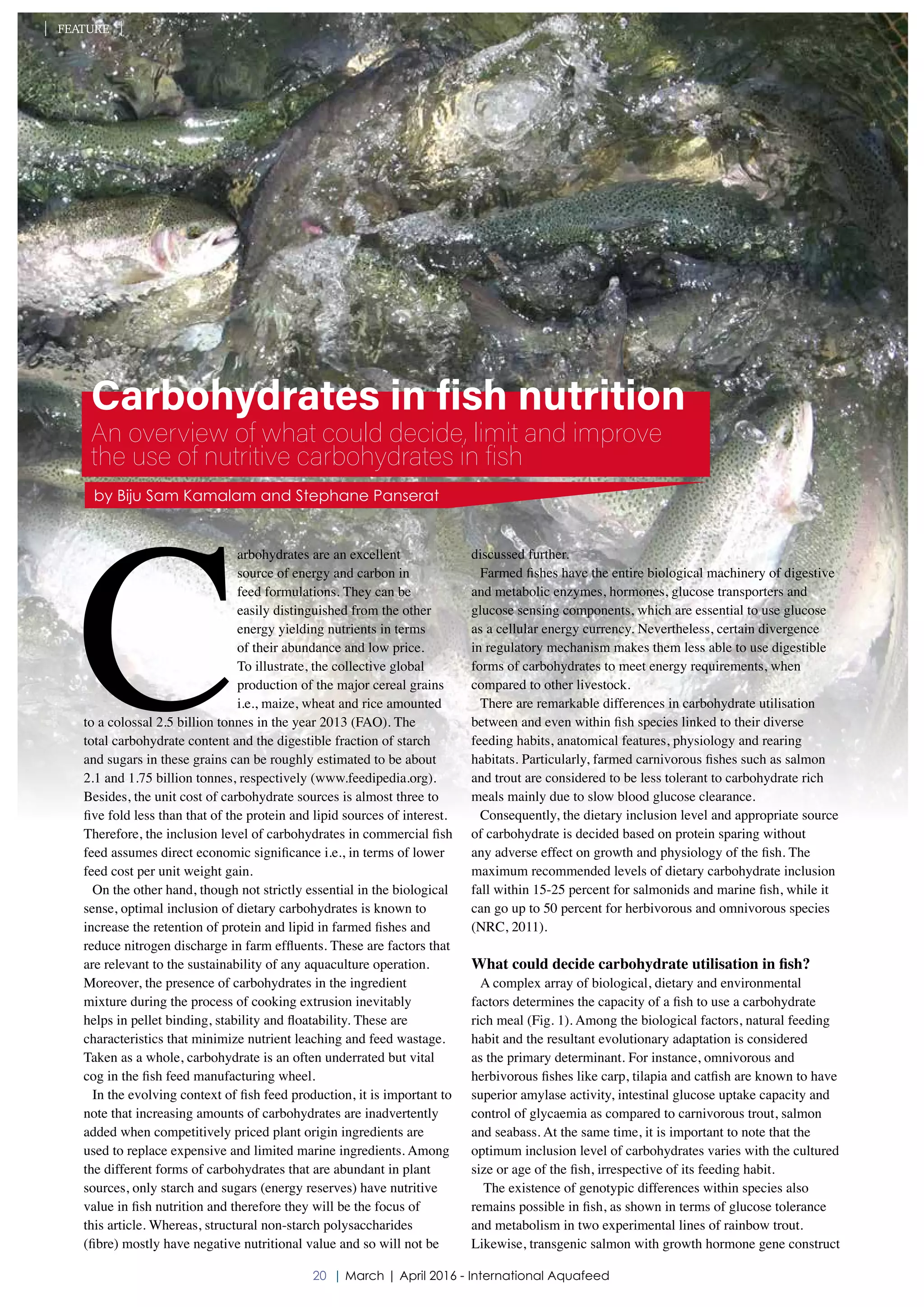 Carbohydrates in fish nutrition | PDF
