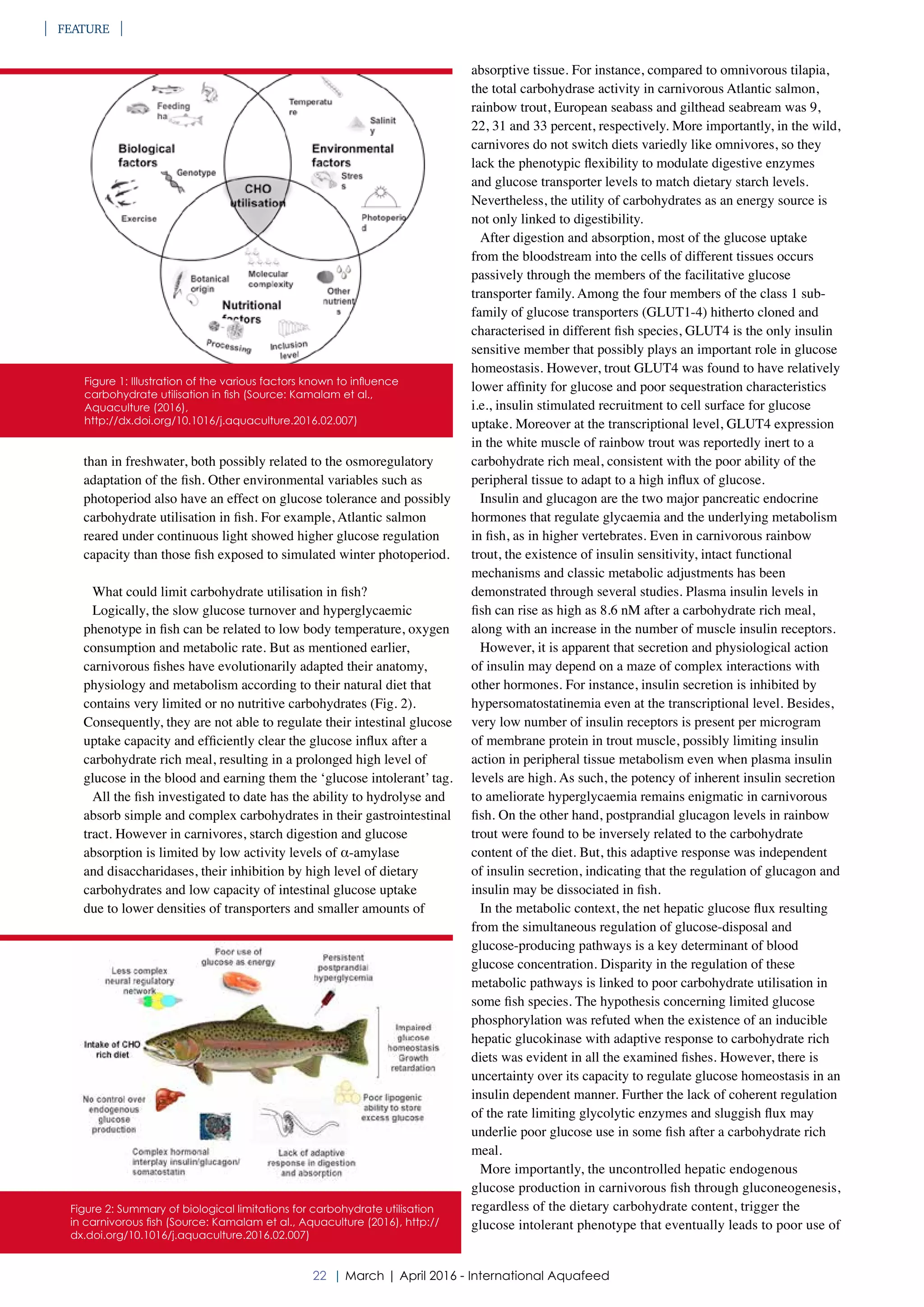 Carbohydrates in fish nutrition | PDF
