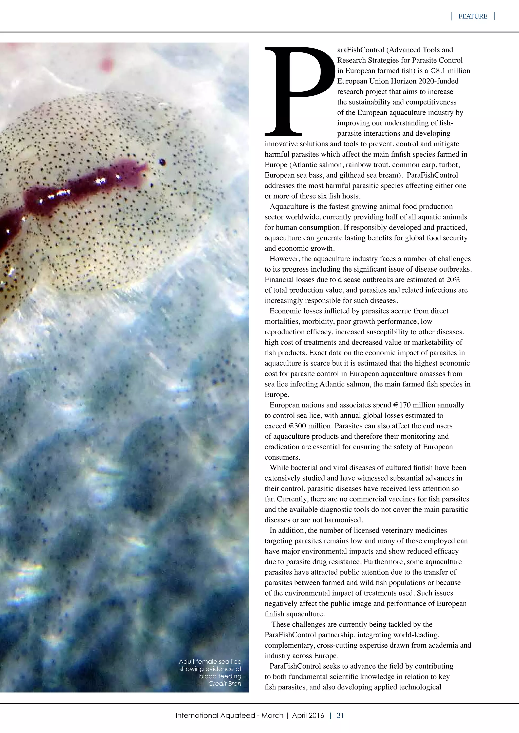 Parasite control in European farmed finfish | PDF