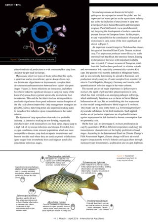 EXPERT TOPIC: Common Carp | PDF