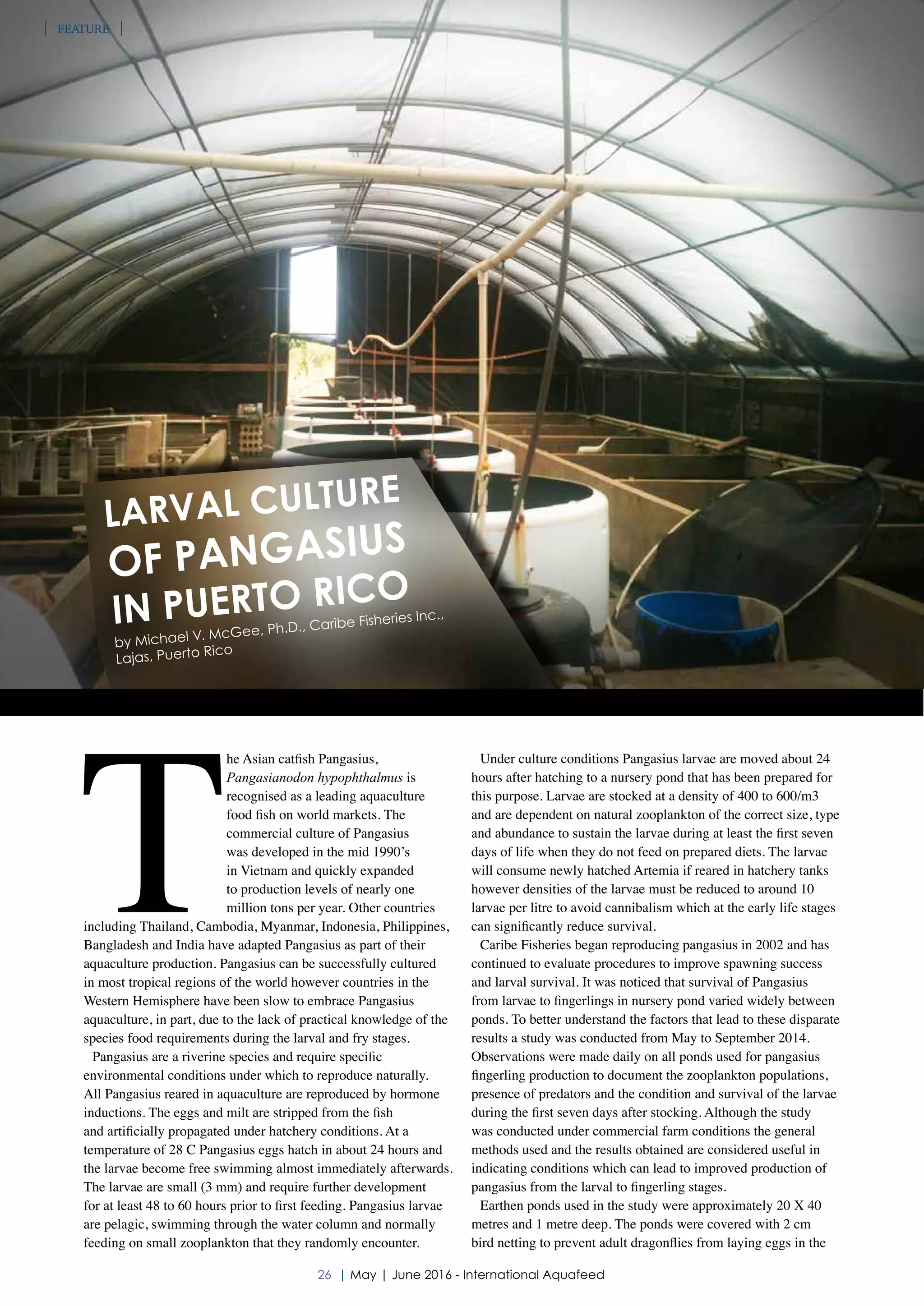 Larval culture of Pangasius in Puerto Rico | PDF