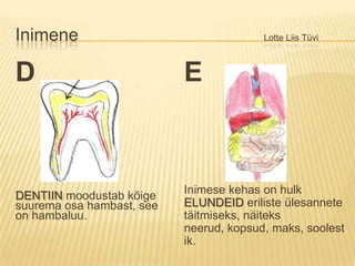 Lotte Liis - Inimene | PPT