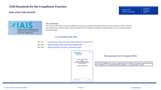The Insurance Compliance Function - International Standards | PDF