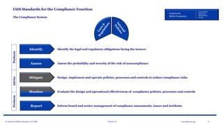 The Insurance Compliance Function - International Standards | PDF