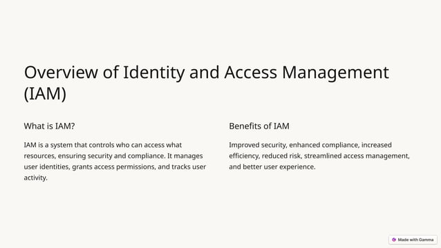 IAM-Platform-Implementation-Plan-for-TechCorp (1).pptx
