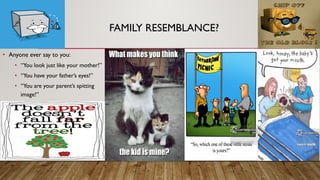 I Am A King's Kid: Royal Family Resemblance (Mt 5:13-16) Bible Study | PDF