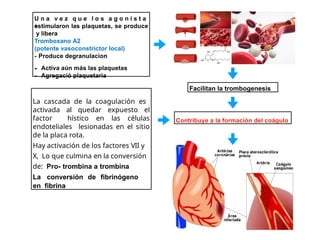 IAMCEST OFICIAL.pptx Obstrucción de la irrigación sanguínea al músculo ...