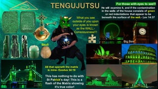 The Matrix revealed | PDF