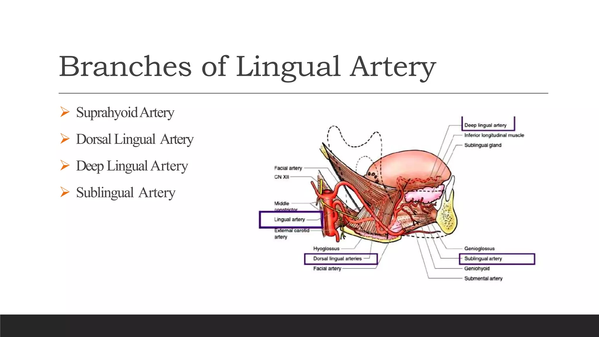 I am sharing 'Arterial supply of head and neck and its' with you.pptx