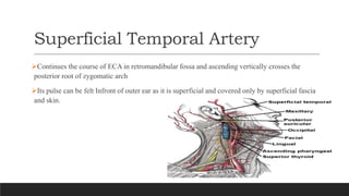 I am sharing 'Arterial supply of head and neck and its' with you.pptx