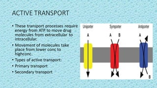 Drug absorption | PDF